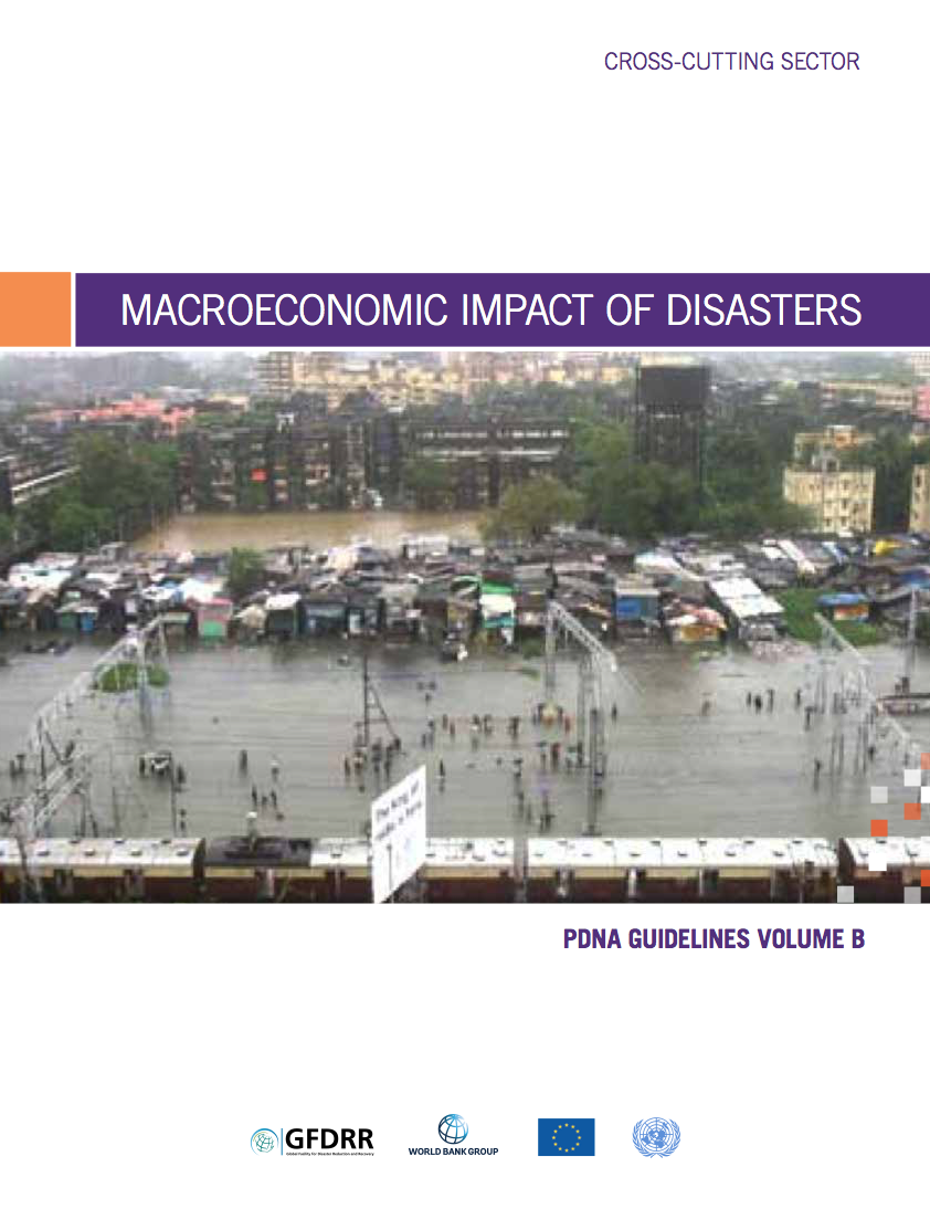 Post Disaster Needs Assessments Guidelines Volume B GFDRR